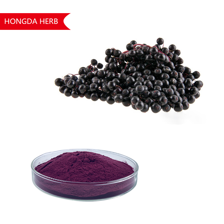 Elderberry Extract | Shaanxi Hongda Phytochemistry Co., Ltd. | CPHI Online